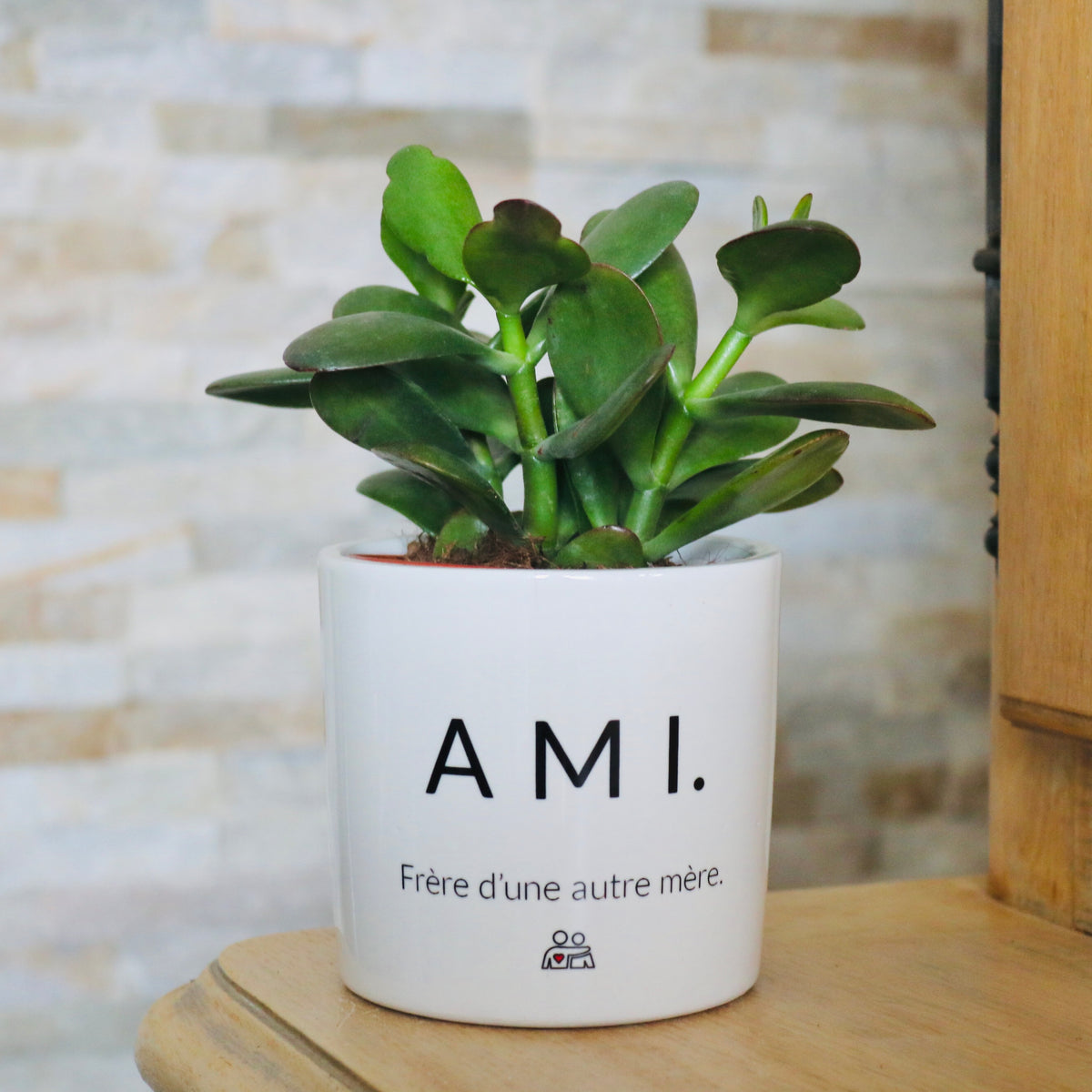 Pot de fleurs Ami | Offrez un plante à personnaliser pour un Ami